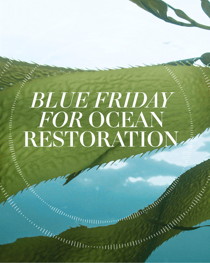 Blue Friday - SeaForester | La Mer Europa