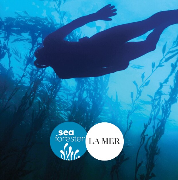 World of La Mer | Skincare & Makeup | La Mer Official Site
